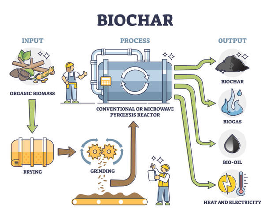 Biomass Pyrolysis & Char Activation